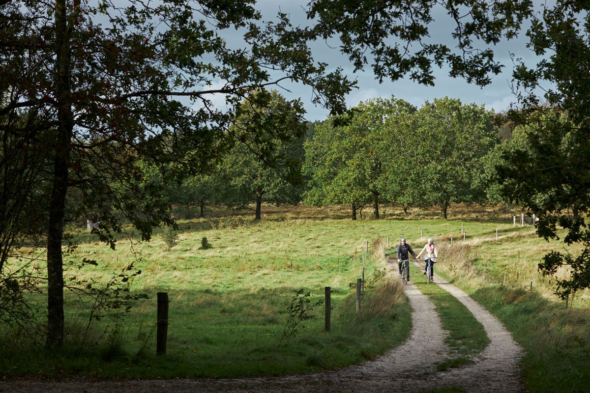 Hærvejen (EuroVelo)